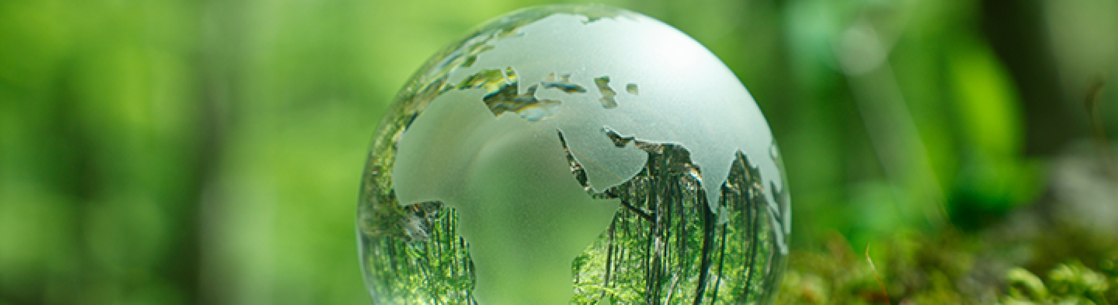 Eco-friendly Emissions for Youth and Adults (eModule) – RITMO Community